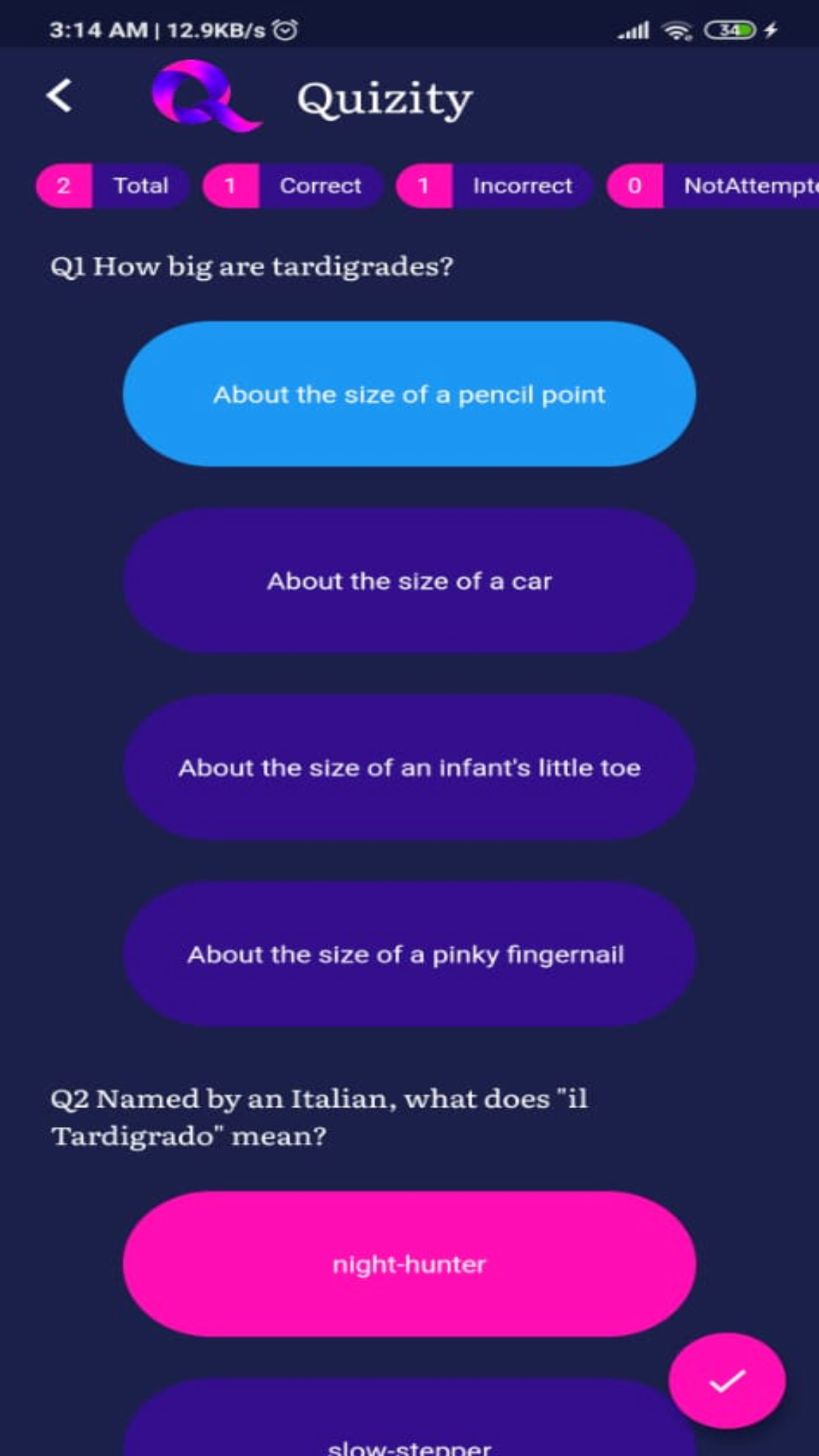 Quizity | It's All Widgets!