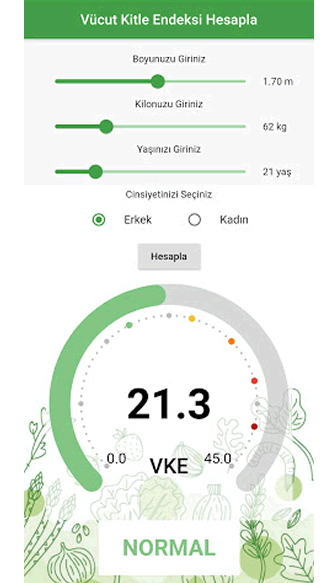 Vücut Kitle Endeksi