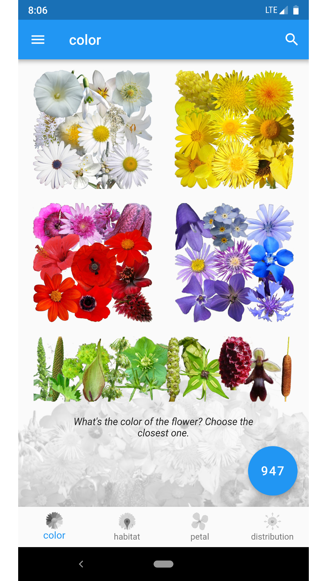 What's that flower? | It's All Widgets!