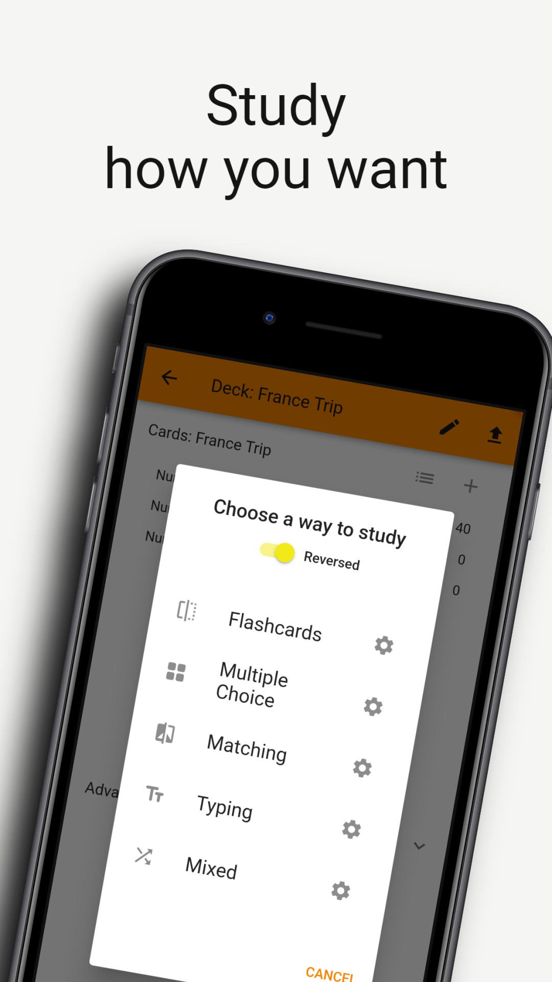 Flash Focus - Language Cards