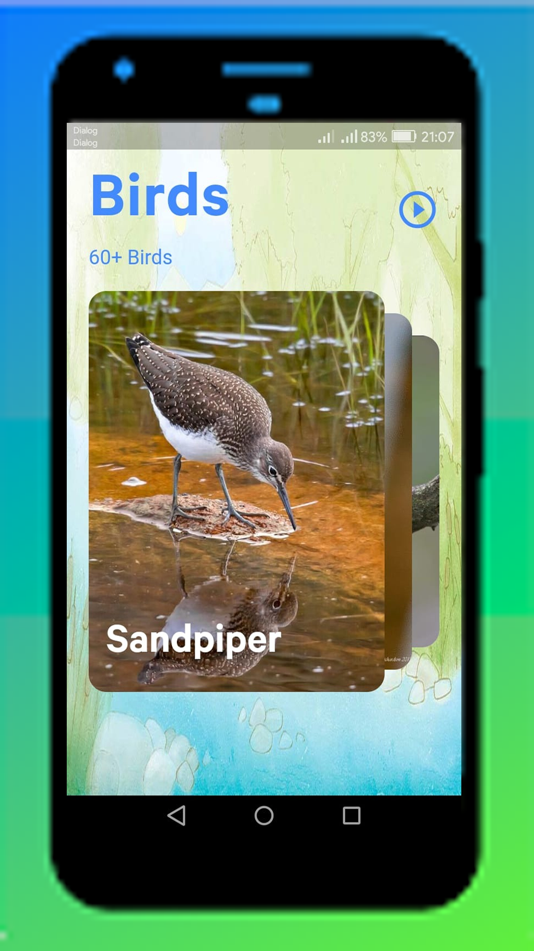 Flutter Apps | It's All Widgets!